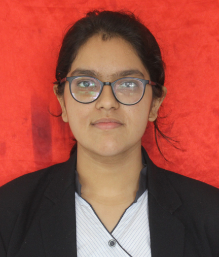 Somerville School, Noida